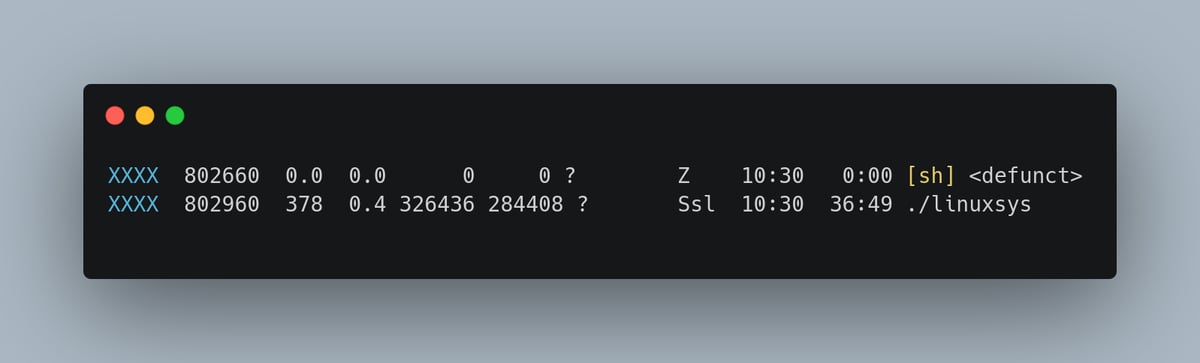 Critical unauthenticated command injection in Chamilo LMS exploited in the wild
